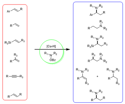 35. Copper Hydride Catalyzed Hydroamination of Alkenes and Alkynes - 叶萌春